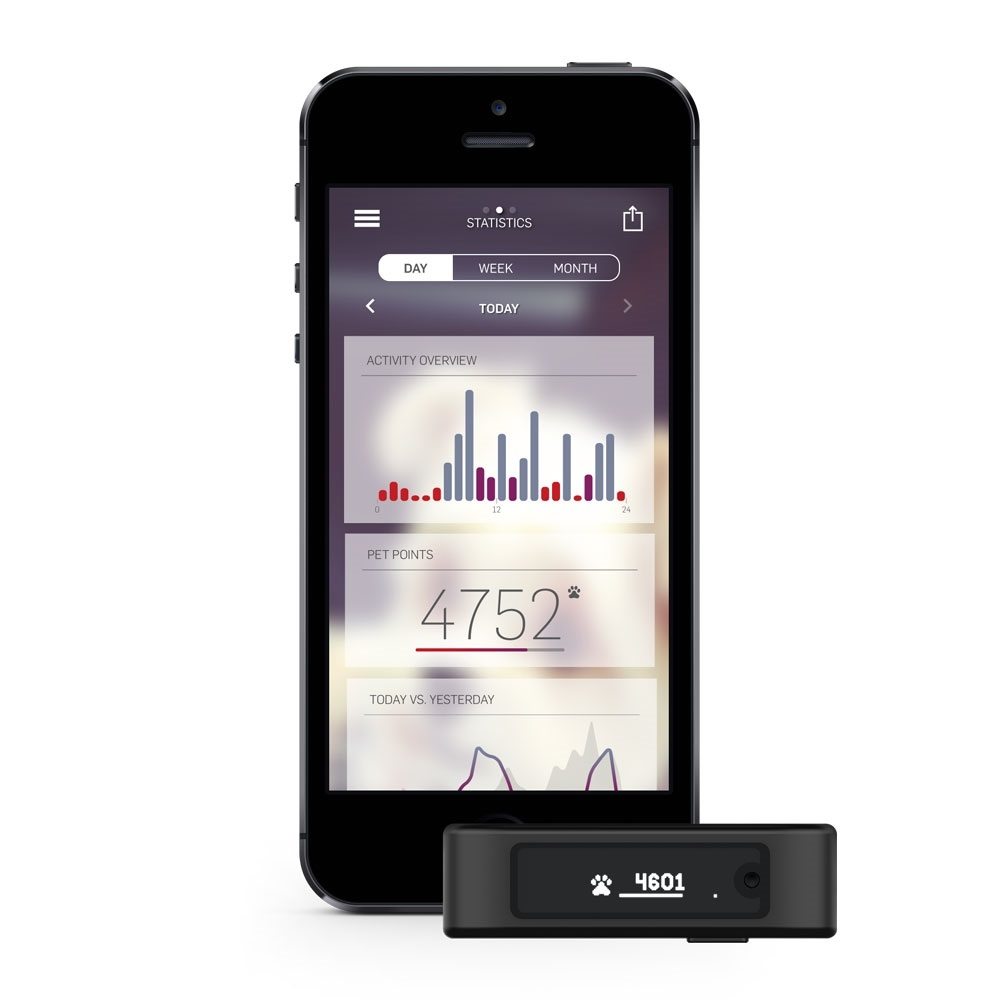 MOTION Pet Activity Tracker | Key Features, Price & Alternatives