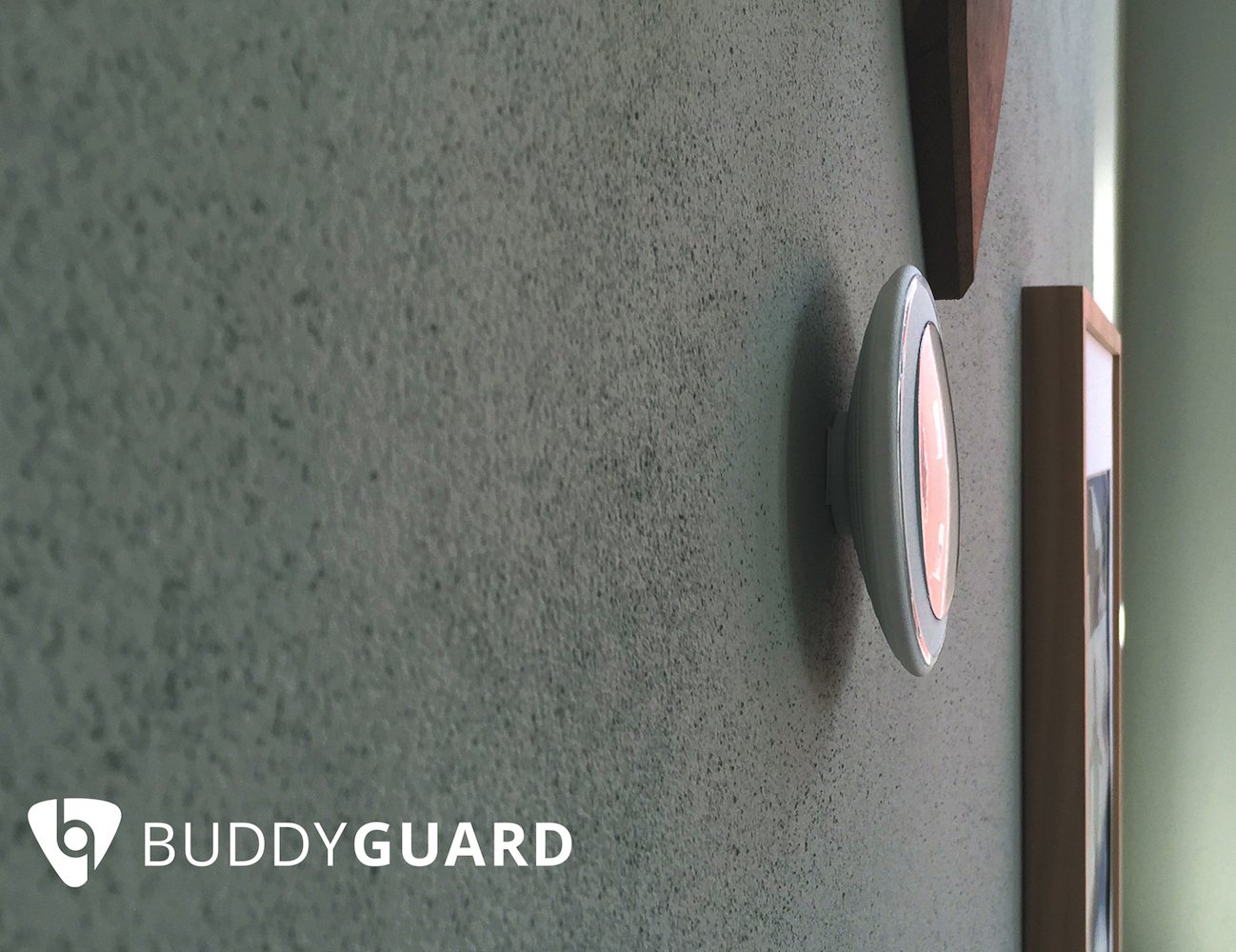 BuddyGuard Flare: Home Security | Key Features, Price & Alternatives