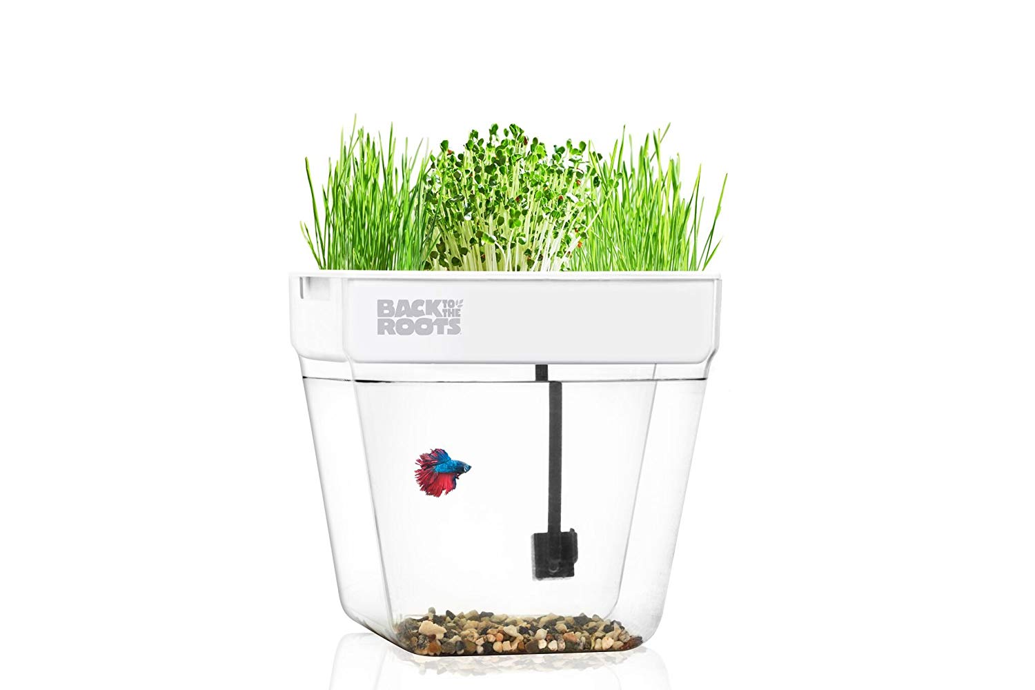 Back to the Roots Water Garden and Fish Tank | Key Features, Price ...