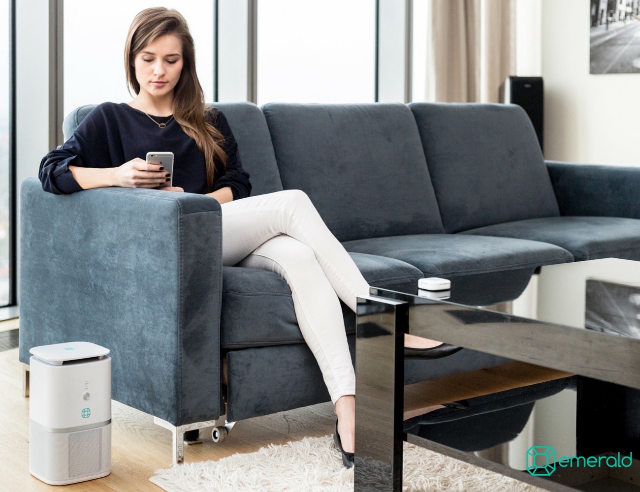 Emerald Air Quality System | Key Features, Price & Alternatives