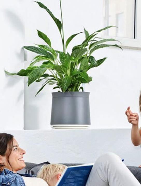 AIRY Box - Your Natural And Highly Effective Air Purifier | Key ...