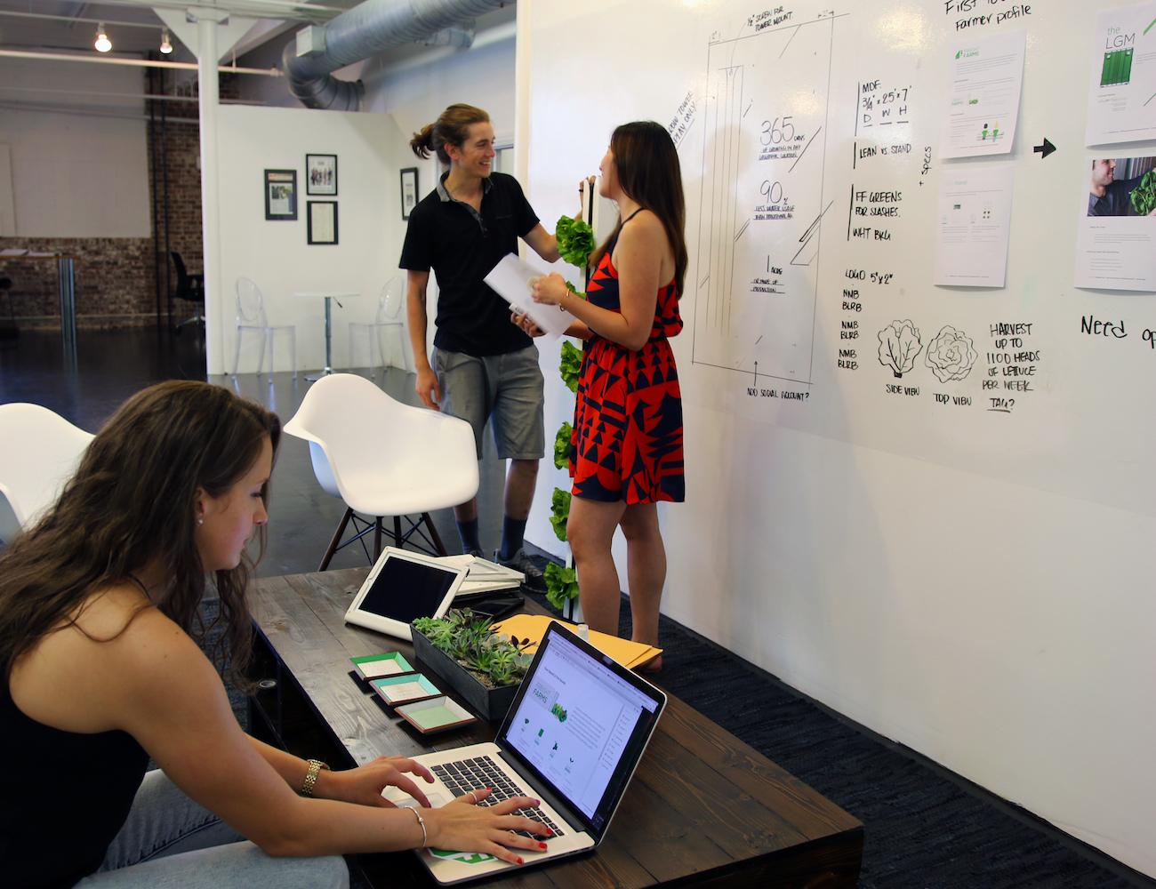 Think Board XL - Reusable Writing Surface | Key Features, Price ...