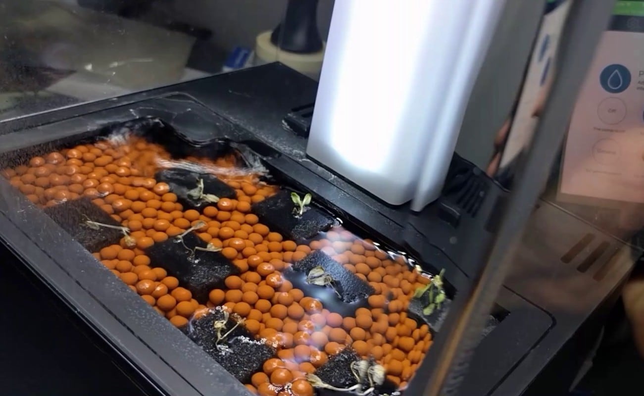 EcoQube Air Desktop Greenhouse | Key Features, Price & Alternatives