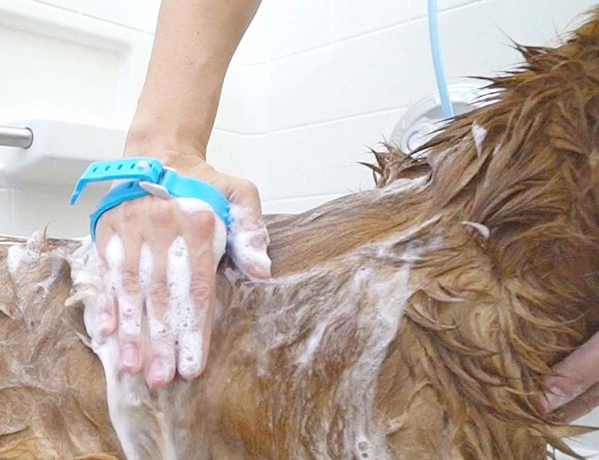 This Wearable Pet Bathing Tool Makes Washing the Dog Easy