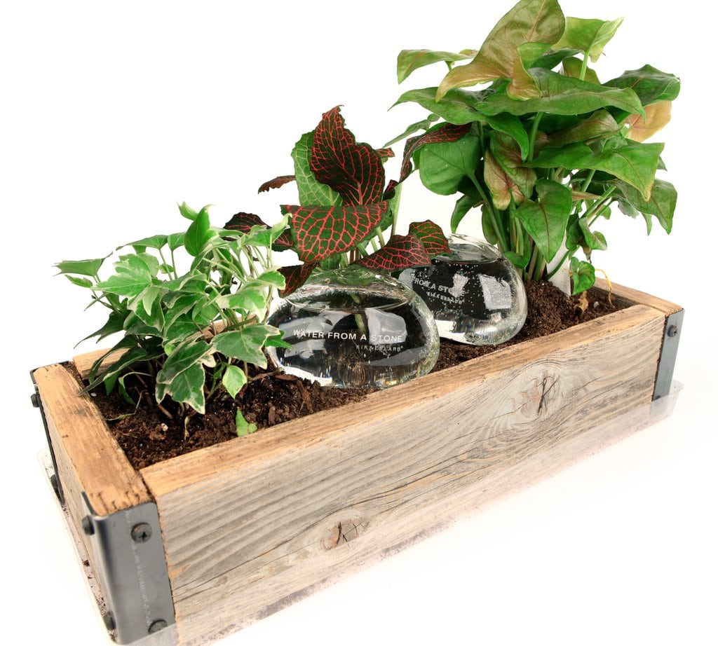 Water From a Stone Plant Watering System | Key Features, Price ...