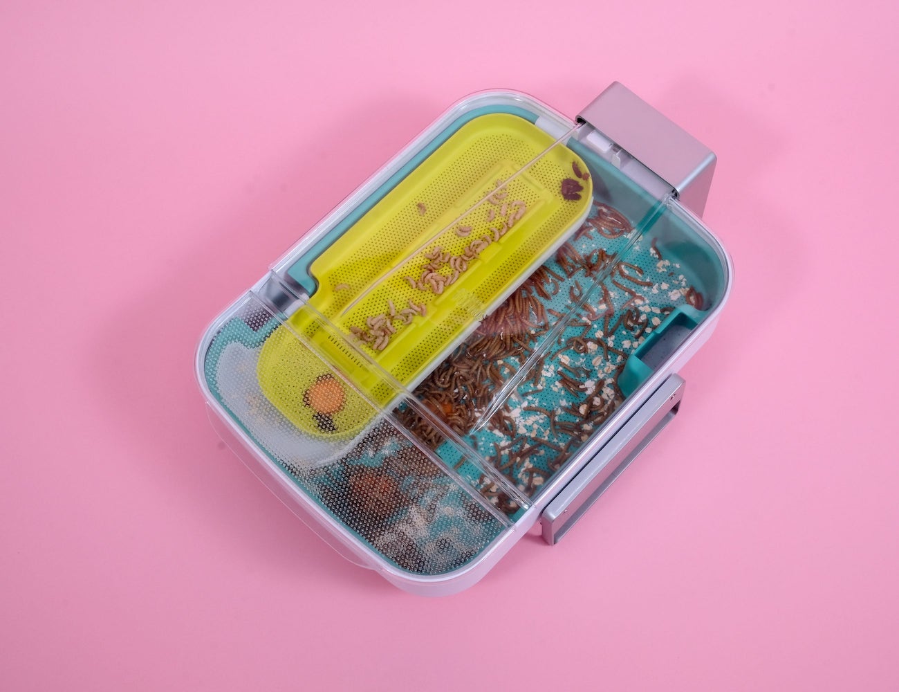 Hive Explorer STEM Insect Educational Kit | Key Features, Price & Alternatives