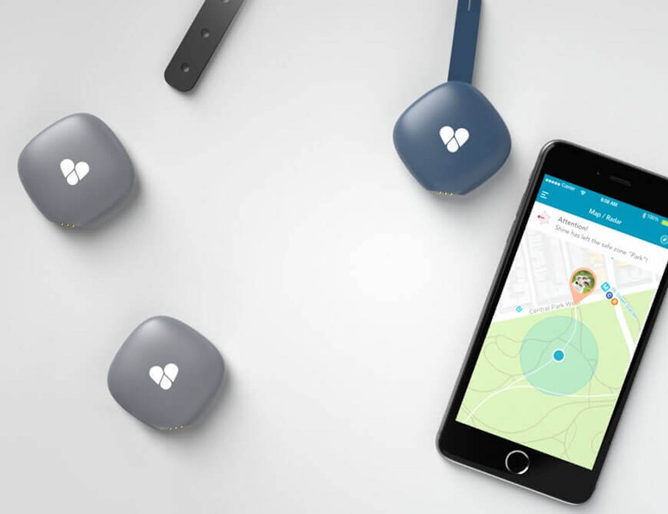 Findster Duo+ GPS Pet Tracker — Gadget Flow