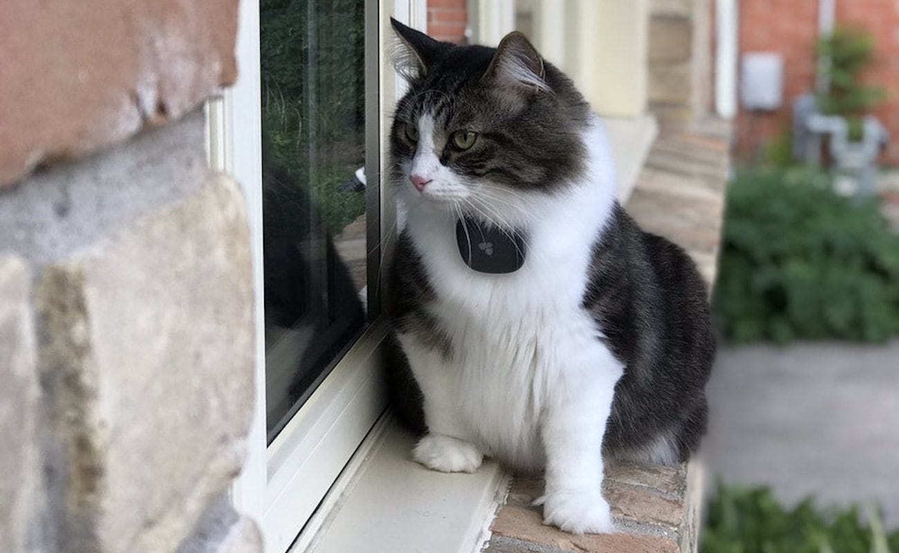 This Smart GPS Pet Tracker Can Track up to 3 Furry Friends