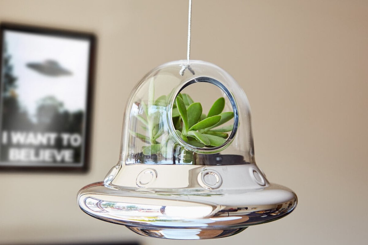 This UFO Terrarium Hangs from Your Ceiling as If It's Flying