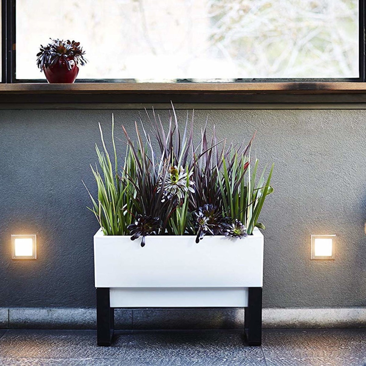 These Innovative Smart Plants Improve Your Daily Life