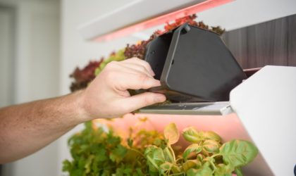 These Innovative Smart Plants Improve Your Daily Life