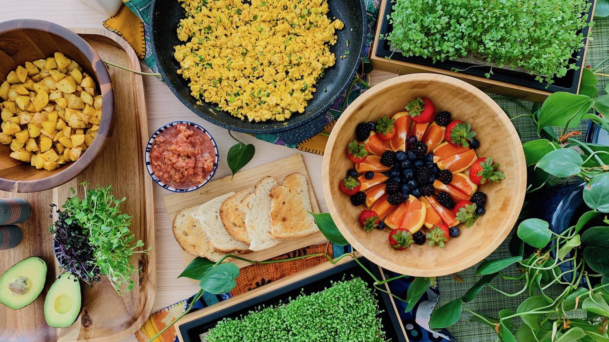 Hamama Microgreens Kit is your fail-proof indoor victory garden
