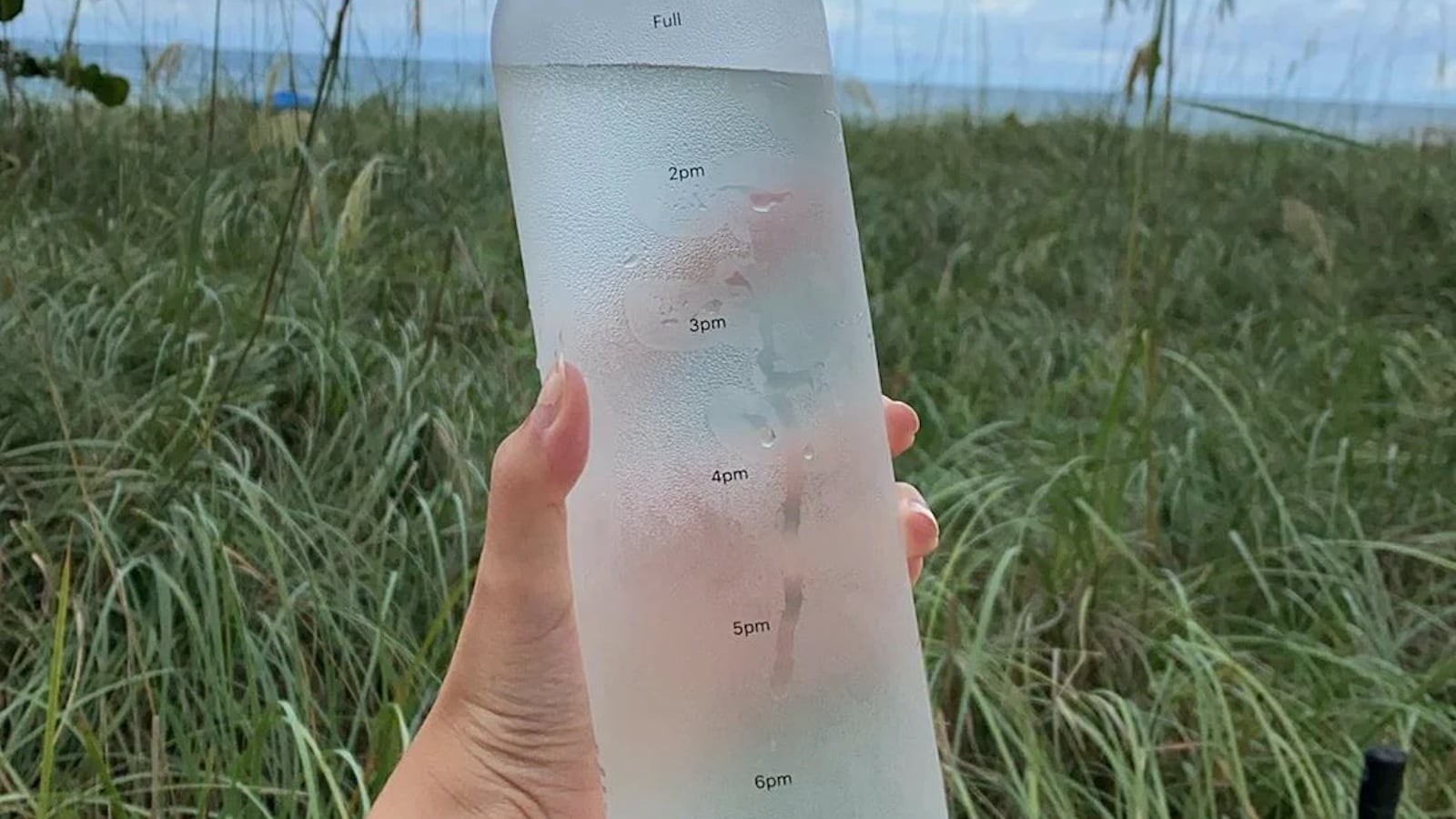 SHEGGS time indicator water bottle lets you track your water intake