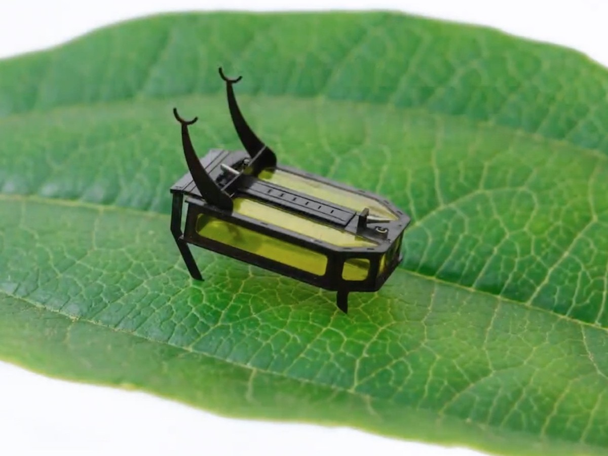 Science Robotics RoBeetle insect-sized microbot runs on methanol ...