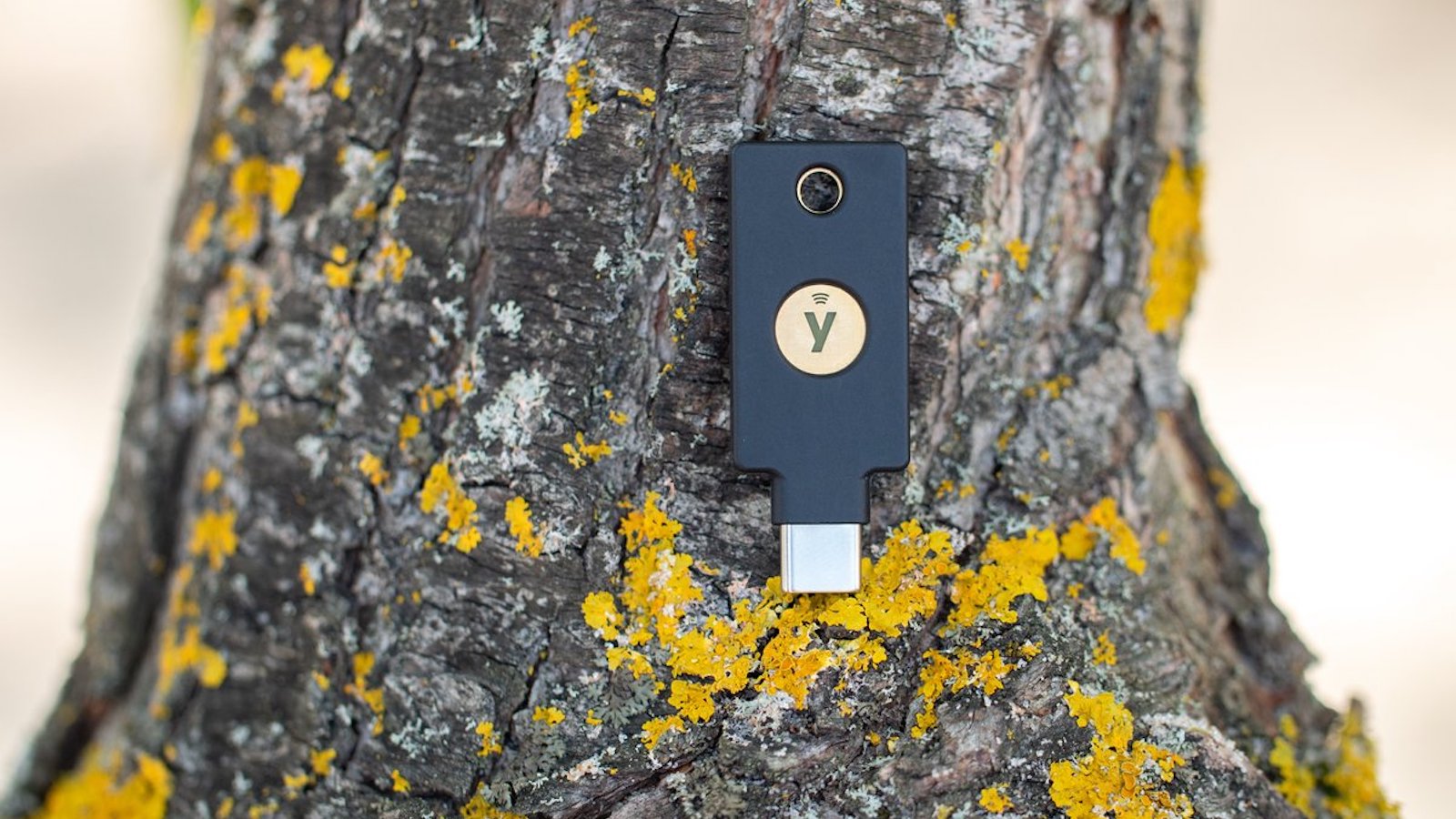 the Yubico YubiKey 5 series support multiple protocols