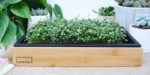 Top 5 smart garden kits to grow your greens at home — Gadget Flow