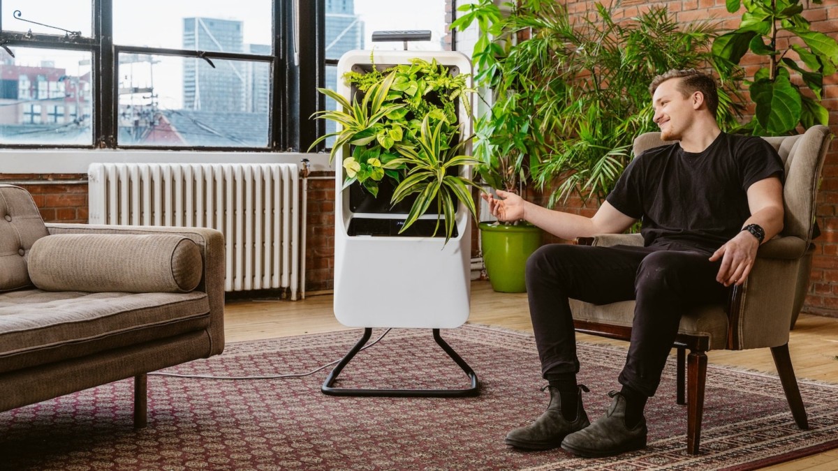 This air-purifying garden filters the air in a natural way — Gadget Flow