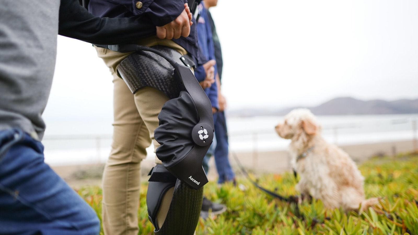 Roam Robotics Ascend wearable robotic orthosis provides relief from ...