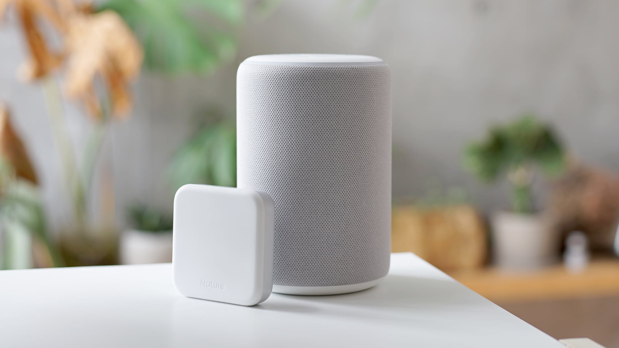 Using Google Home? Here are the best Google Home gadgets to buy ...