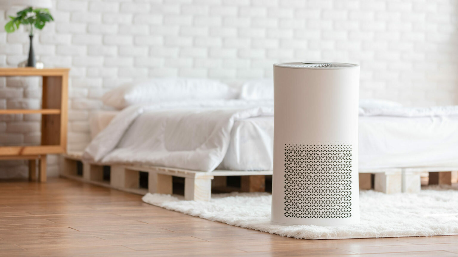 Wearable air purifiers—do they actually work, and should you buy one?