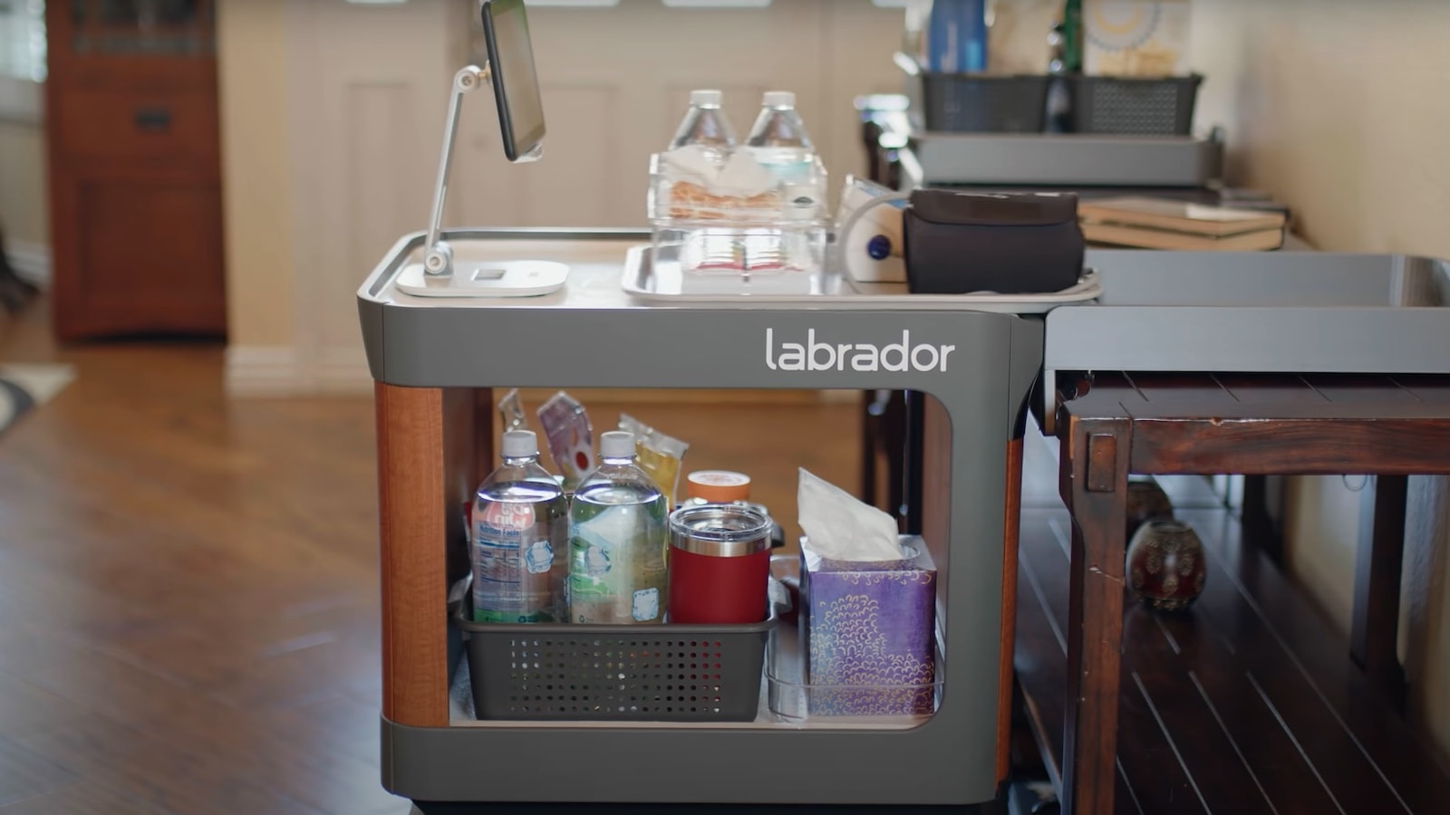 Labrador Caddie and Retriever assistive robots move all kinds of things ...