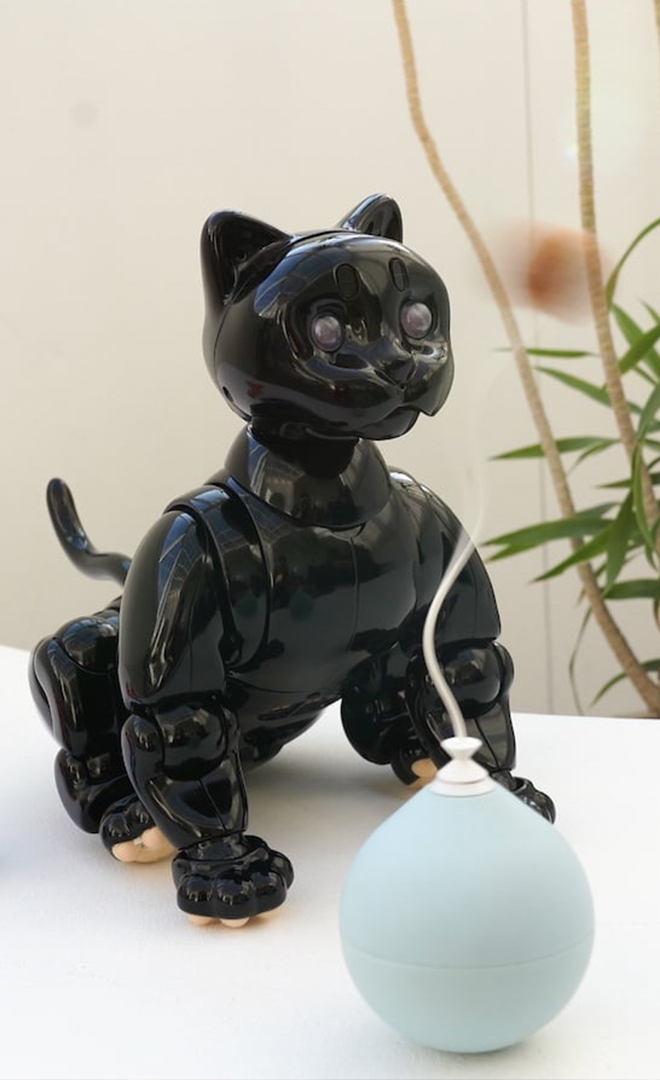 Macroact Maicat prototype companion AI robot cat adapts to your home ...