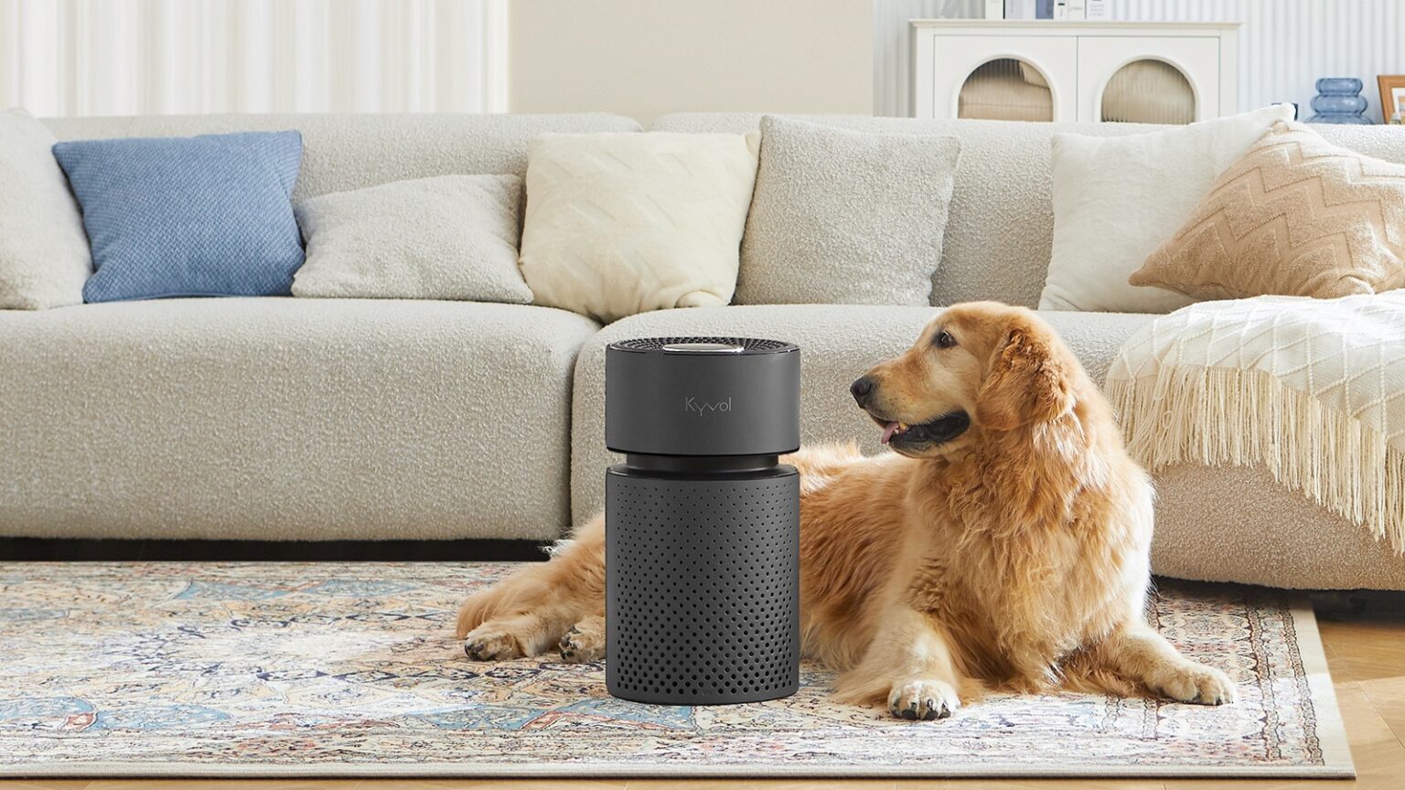 Best air purifiers to add to your bedroom this winter — Gadget Flow