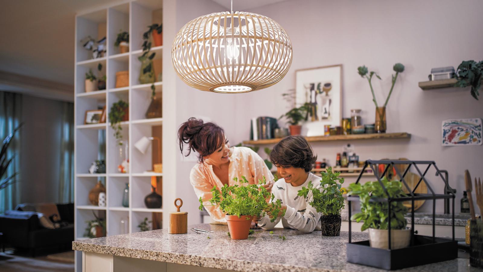 Top energy-saving smart home gadgets to cut down on your bills this ...