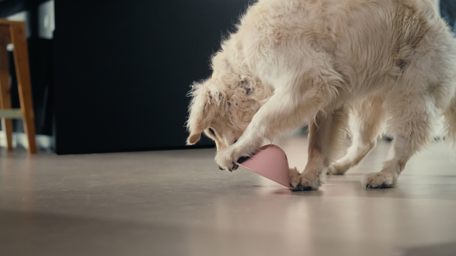 This challenging dog toy tests your pup's agility & cognitive skills