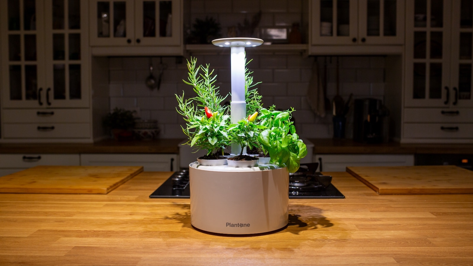 This automated indoor garden grows up to 5 plants easily on your counter