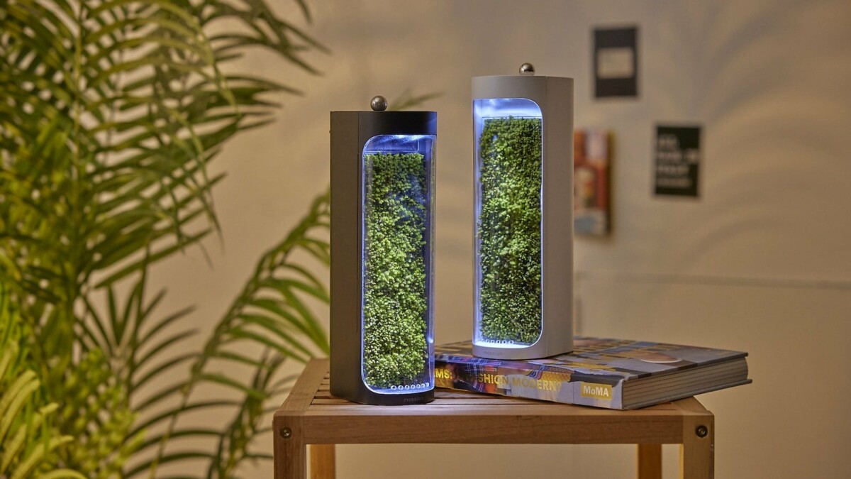 Review: Moss Air desk air purifier brings you superior air quality
