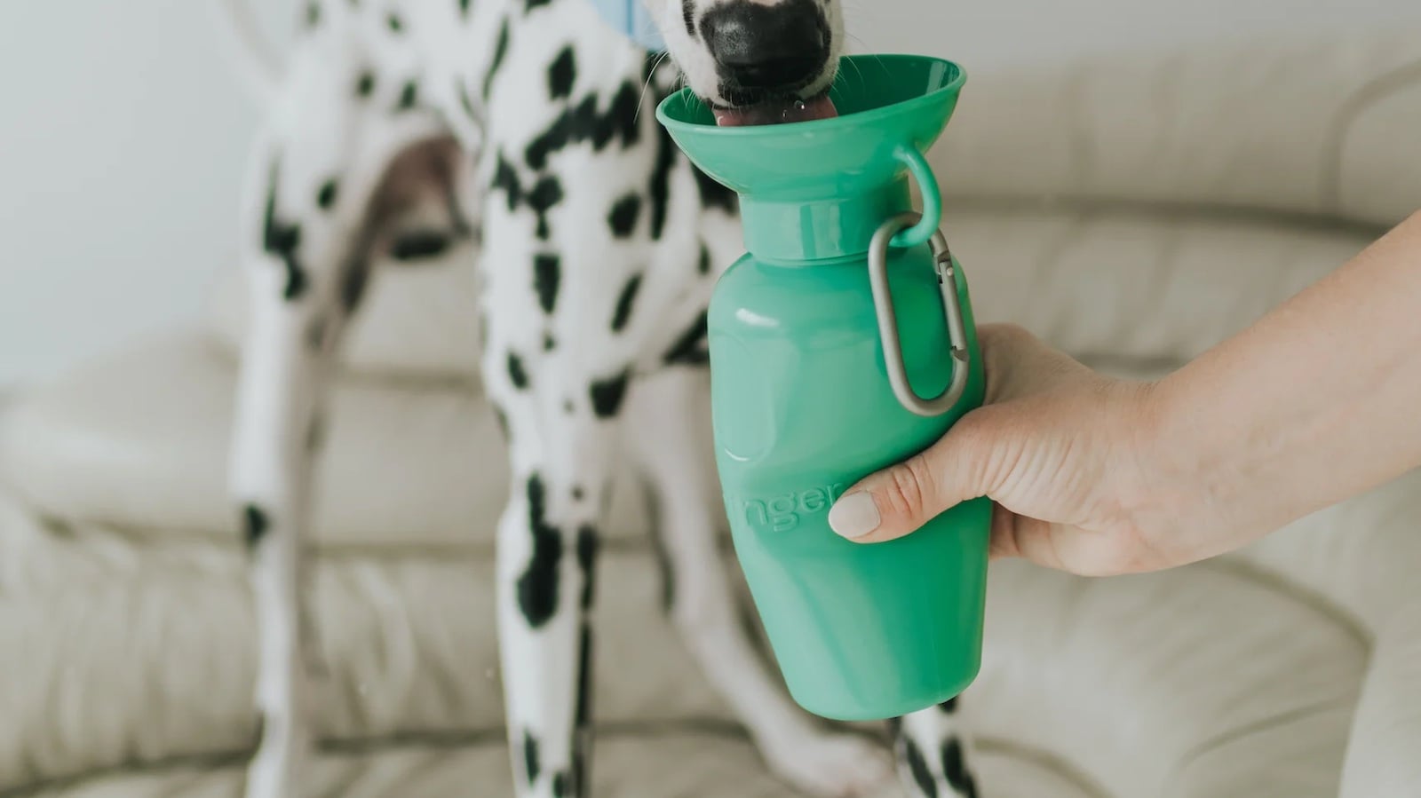 This dog water bottle collection is made for on-the-go pet parents