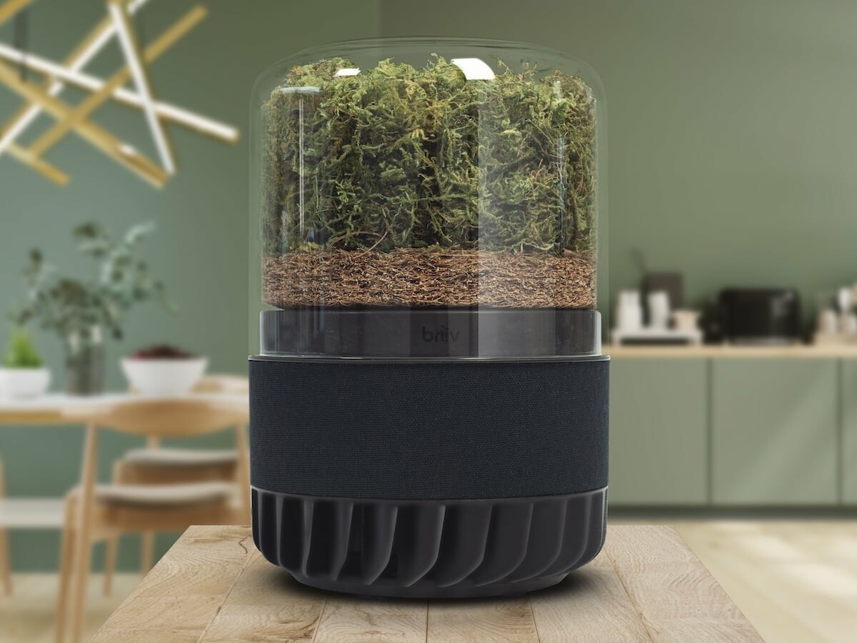 This eco-friendly air purifier has AI-powered sensors