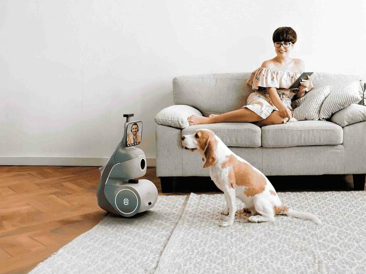 This robot companion for dogs plays, feeds, and watches your pet
