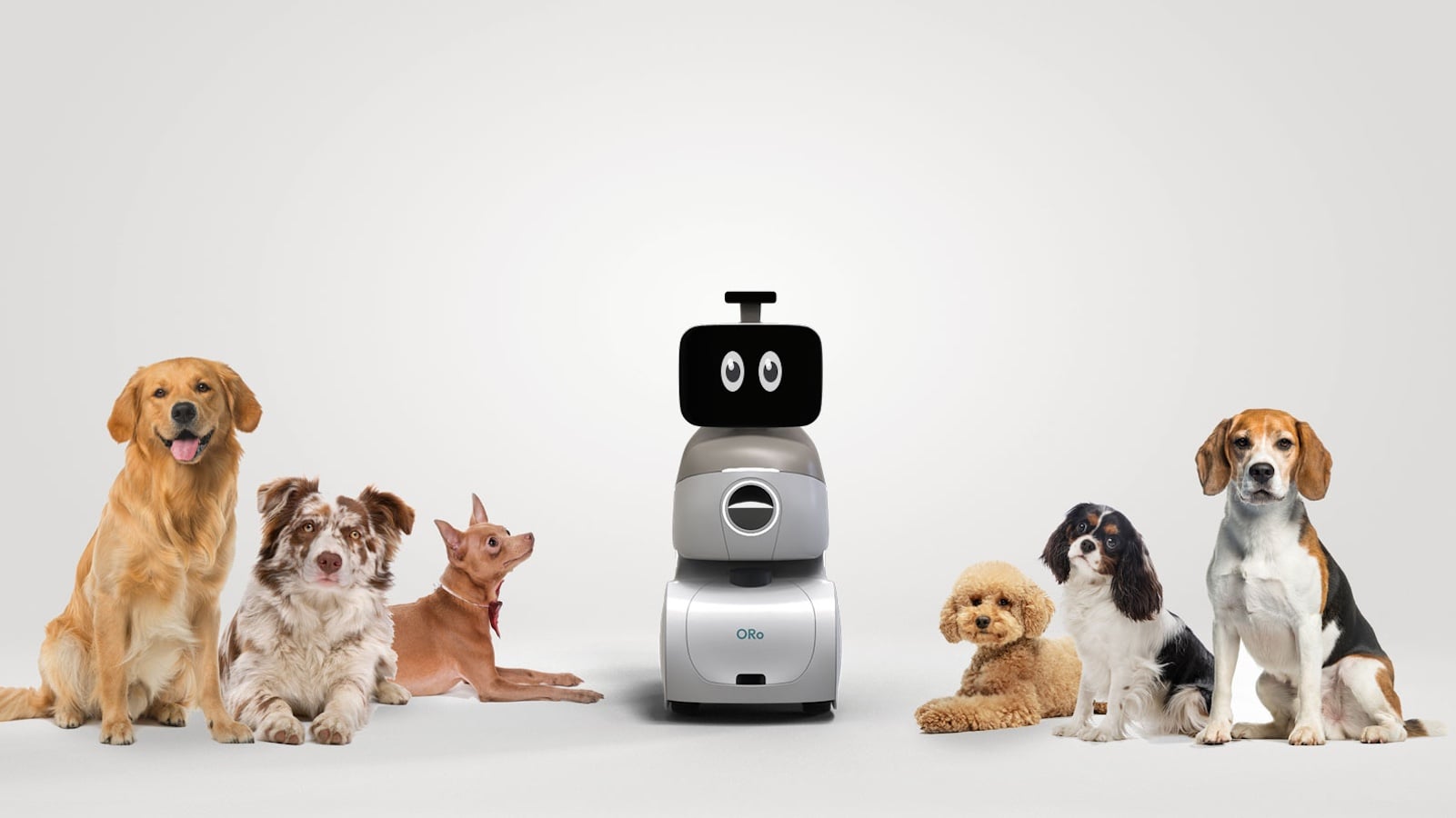 This robot companion for dogs plays, feeds, and watches your pet
