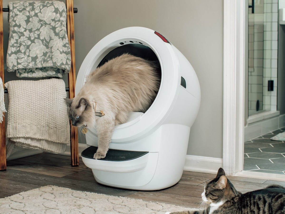 This Wi-Fi self-cleaning litter box offers maximum odor control