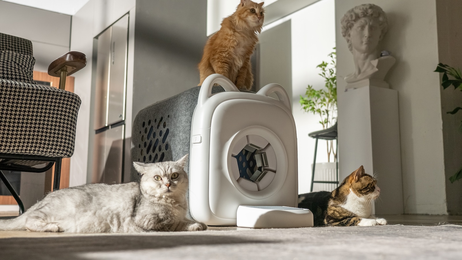 PawSwing Purrring Automatic Cat Self-Groomer ensures comfort
