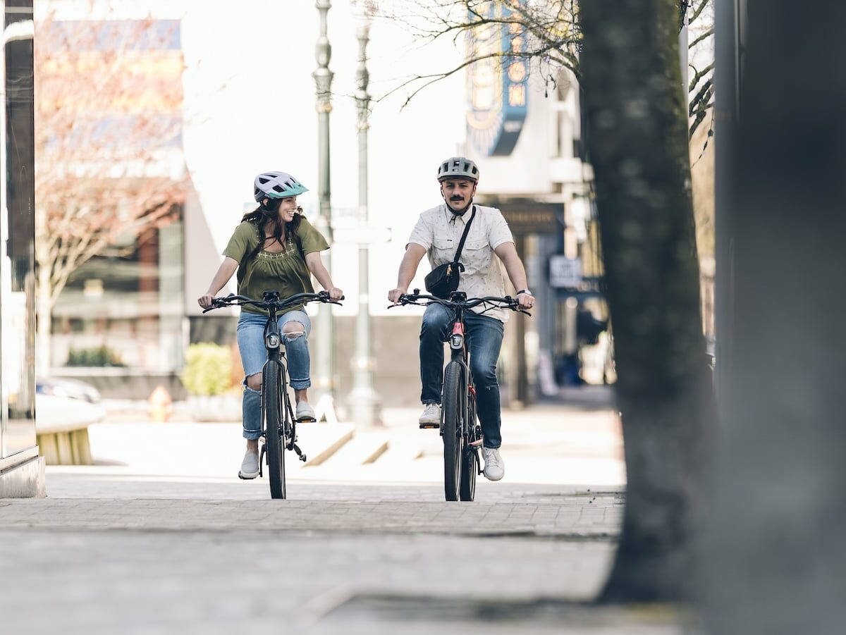 Alpha II eBike is lightweight and low maintenance