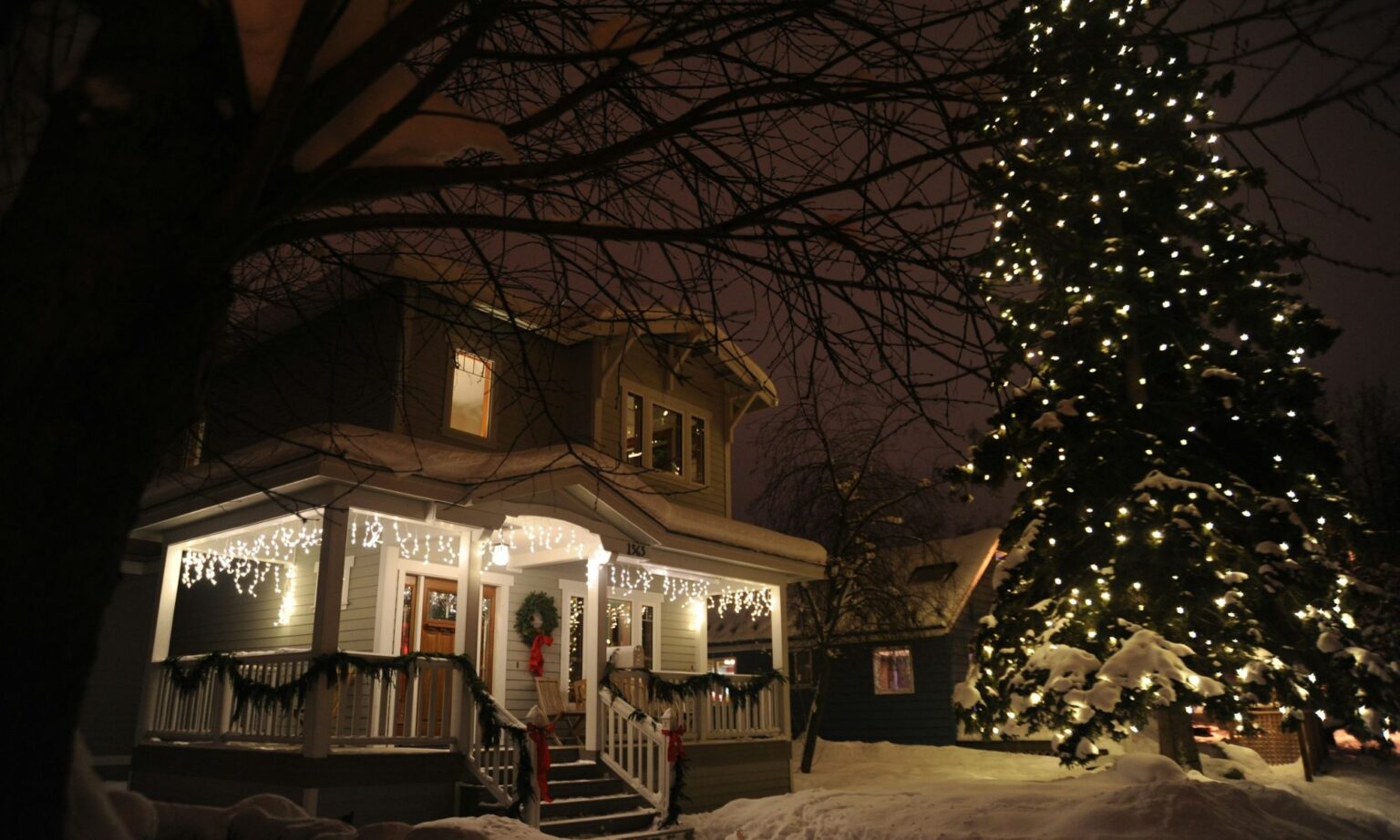 5 Best outdoor Christmas lights to brighten your holiday season