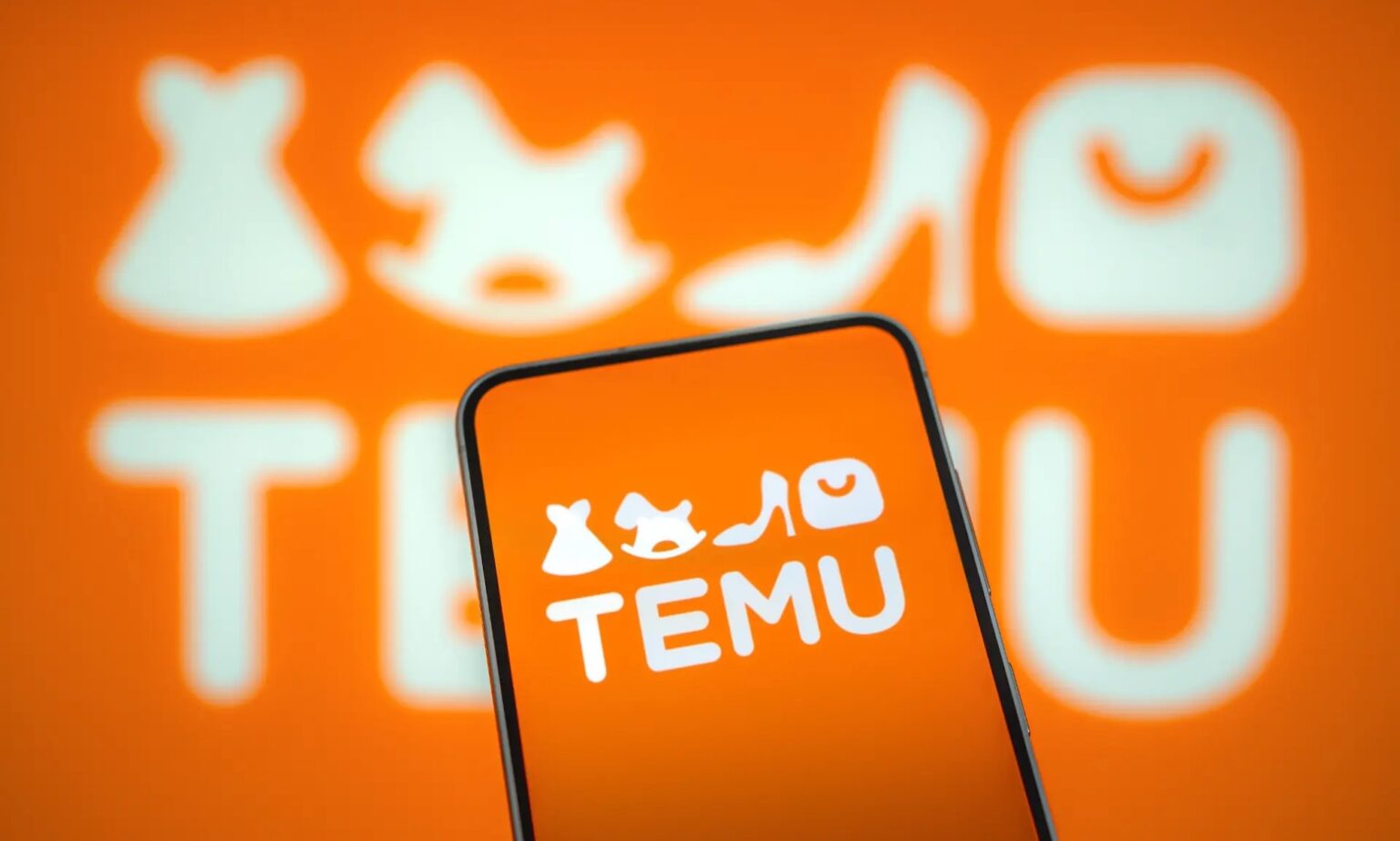 Exploring the TEMU Influencer Program