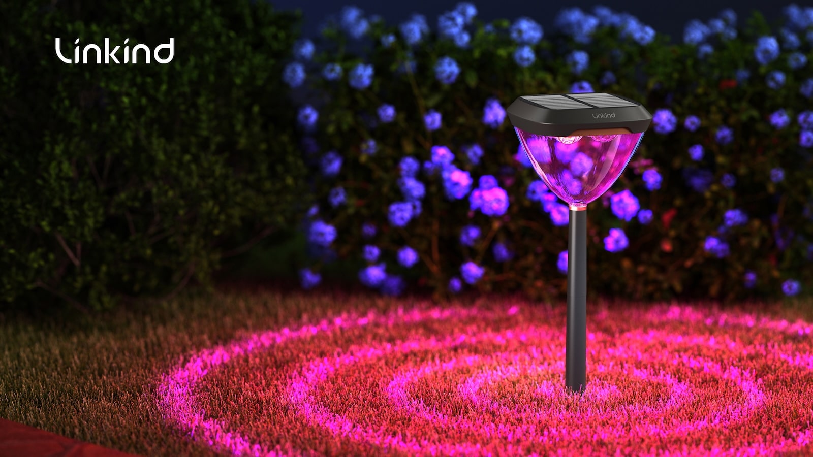 Linkind Smart Solar Pathway Lights SP6 | Key Features, Price & Alternatives